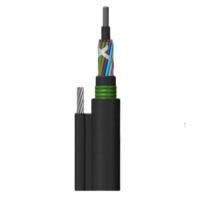 China Fiber Optic Cable G657A 24 Core Armored Self-Supporting Outdoor Waterproof GYTC8S for sale