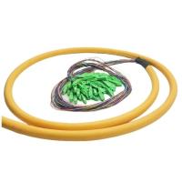 China FTTH Fiber Optic Breakout Equipment 0.9mm Patch Cord for ODF and Communication Cables for sale