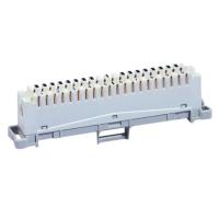 China Krone Strip Module LSA PLUS Wiring Terminal Module 10 Pairs for 3G Network Chinese Supply for sale