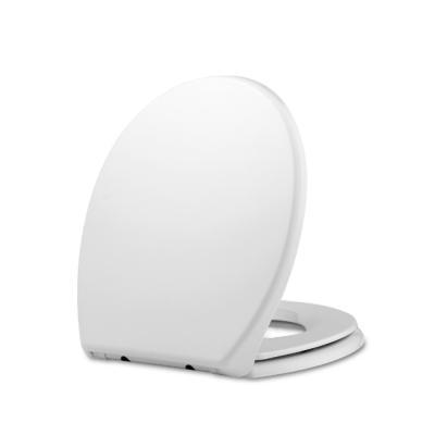 China Urea Soft Close Toilet Seat with Magnet Design Quick Release 445x368mm Stainless Steel 304 Hinges for sale