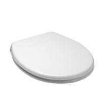 China Urea Toilet Seat Cover Soft Close 445x368x55mm Stainless Steel 304 Hinges for sale