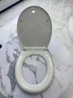 China PP Plastic Toilet Seat Oval Shape 443mm 368mm Slow Close Soft Close European Size for sale