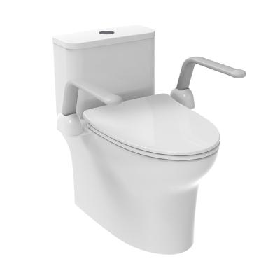 China Freestanding Toilet Safety Grab Bar 566mm Aluminum Alloy Handicap Support Rail for Elderly for sale