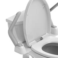 China Elderly Care Toilet Safety Frame with Handrail Grab Bar 566mm x 396mm Stainless Steel for sale