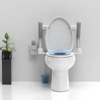 China Modern Design Folding Toilet Armrest for Disabled and Elderly Handicap Bathroom for sale