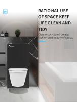 China SH004G Premium Dual Flush Concealed Cistern Water-Saving Tempered Glass Design for sale