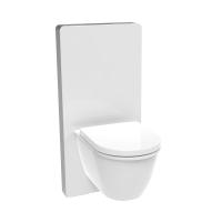 China Bathroom Dual Flush Wall Hung Toilet with Hidden Water Tank 1005mm HDPE for sale