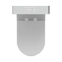 China Bathroom Dual Flush Wall Hung Toilet with Hidden Water Tank 1005mm HDPE for sale