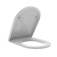 China Latest design toilet seat with big hinge distance for sale