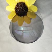 China Lower Price: 1.56 Flat-Top Photochromic Lenses & FT Bifocal Lenses with Light Gray/Green Coating for sale