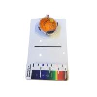 China Blue Light Tester, Other Optical Instruments, Analyzer, Lens UV + 420 for sale
