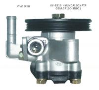 China Standard Size Auto Power Steering Pump 57100-3D001 for Hyundai Sonata - OEM Replacement with Long Service Life for sale