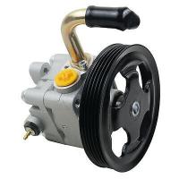 China Power Steering Pump 49100-65J00 for Suzuki Grand Vitara 2.0 SUV 2005-2015 for sale