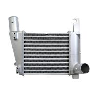 China Intercooler N250-03O 14461VM00A for Nissan NP300 2.5TDI 2008 Navara Urvan E25 for sale