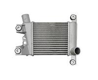 China Intercooler N250-03O 14461VM00A for Nissan NP300 2.5TDI 2008 Navara Urvan E25 for sale