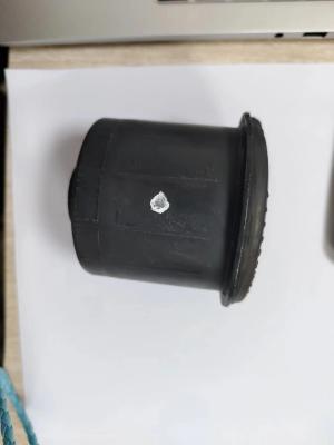 China Hyundai Accent Kia Rio Trailing Arm Bushing OEM 55160-1R000 - Suspension Replacement Part for sale
