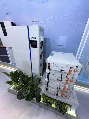 China Deye PV Inverters & ESS Hybrid Inverters | Global Multi-Region Version3-125kw for sale