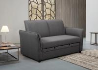 China OEM/ODM Furniture Manufacturer 2 seaters sofa bed high quality loveseat sleeper sofa for living room foldable sofa bed for sale