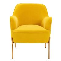 China Luxury Anti Fading Modern Velvet Dining Chairs Multiscene Durable for sale
