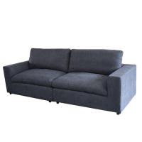 China 30020 Hot Selling Indoor Living Room Furniture Double Seat Sofa Modern Sofa Fabric For Home Luxury for sale