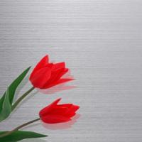 China No.3 / HL Finish Cold Rolled Stainless Steel Sheet Prime Grade Material for sale