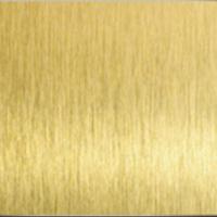 China Golden Yellow Colored Stainless Steel Sheets Vacuum Plating HL Surface for sale