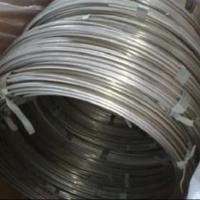 China 34kN 6.0mm Diameter 1x19 304 Stainless Steel Wire for sale