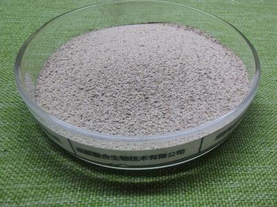 China Organic Trace Minerals For Cattle Improve Fertility Health Milk Production Of Cattle for sale