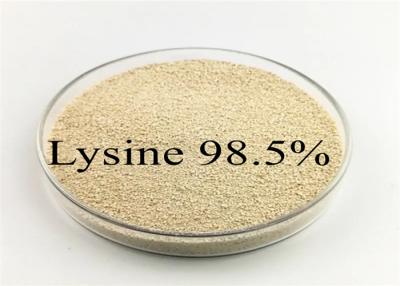 China Livestock Poultry Chicken Pig Animal Feed Additive L Lysine 98.5% L-Lysine HCL for sale