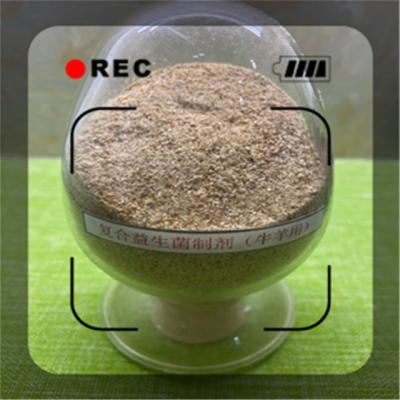China Yeast Based Probiotics For Pigs Poultry And Monogastric Animals for sale