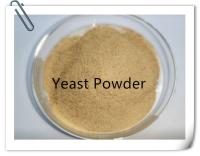 China Live Stocks Yeast Powder Rich In Vitamins B & Organic Micro Nutrient, 40KG/Bag for sale