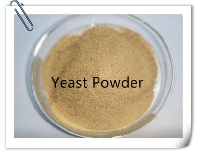 China Live Stocks Yeast Powder Rich In Vitamins B & Organic Micro Nutrient, 40KG/Bag for sale