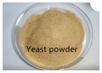 China Nutritious Yeast Protein Animal Feed For All Livestock for sale