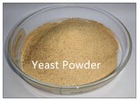 China High Protein Feed Grade Yeast Powder 45% 50% 55% 60% for sale