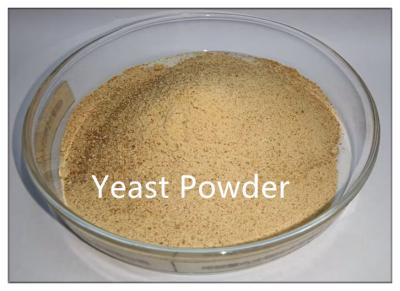 China High Protein Feed Grade Yeast Powder 45% 50% 55% 60% for sale