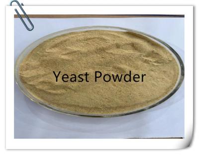 China High Protein Yeast Powder Animal Feed Grade with Minerals for sale