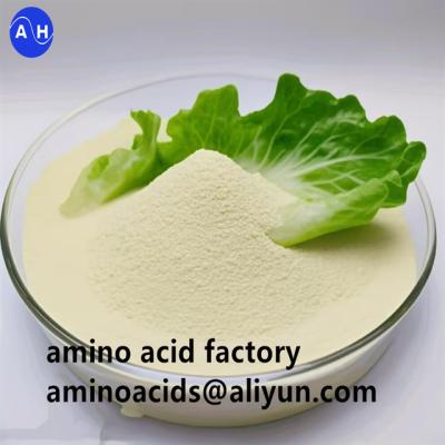 China Soybean Meal Extracted Amino Acid Powder 90% With Higher Phenylalanine And Histidine for sale
