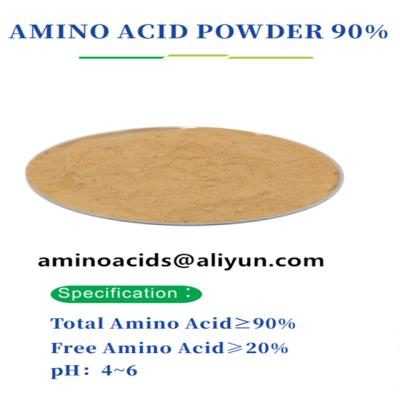 China Plant Protein Extracted Amino Acid Powder 85-90% Free Hydroxyproline for sale