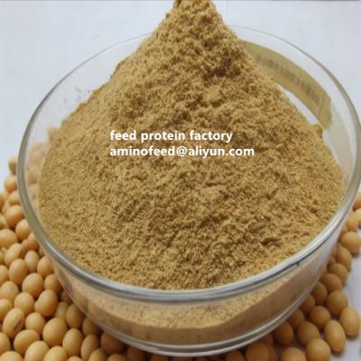 China Replace Fish Meal With Amino Acid Feed For Poultry And Aquatic Animals Non-GMO Soybean Concentrates 50% Protein for sale