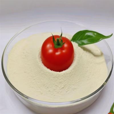 China Chelated Micronutrients Fertilizers Formulated To Prevent Nutrient Fixation And Promote Absorption By Roots And Foliage for sale