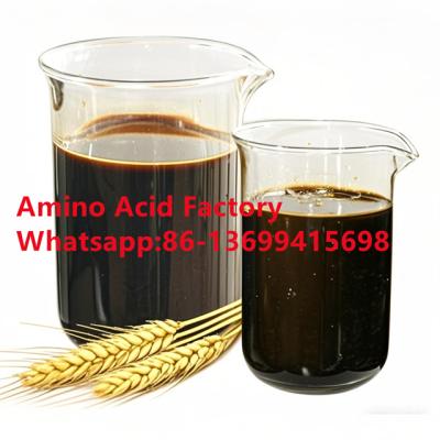 China Liquid Amino Acid Chelated Magnesium Fertilizer with 100g/L Organic Magnesium, 150g/L Total Amino Acids, and 98% Chelation Rate for Foliar Spray for sale