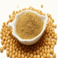 China Feed Additives Soya Protein Containing High Crude Protein 50% and Acid Soluble Protein for in Chunk Pet Food and Livestock Feed for sale