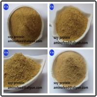 China Soya Peptide Protein Powder With Light Yellow Powder Pepsin Digestibility More Than 90% for sale