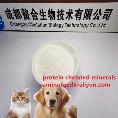 China 100% Water Soluble Amino Acid Protein Powder With High Crude Protein Content 88% With Pepsin Digestibility 99% for sale