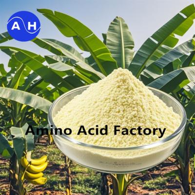 China Amino Acid Chelated Calcium Fertilizer with 25% Total Amino Acid and 100% Water Soluble for Banana Plantations to Improve Fruit Set And Nutrient Transport for sale