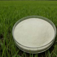 China Corn Protein Source Extracted Amino Acid Powder 85% With Enzymatic Hydrolysis Process  for sale