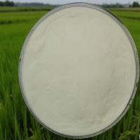 China Corn Protein Source Extracted Amino Acid Powder 85% With Enzymatic Hydrolysis Process  for sale