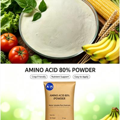 China Soy Protein Hydrolysate Amino Acid 80% Mixture - 100% Water-Soluble Non-GMO Soybean Meal with High Free Amino Acid Content for sale