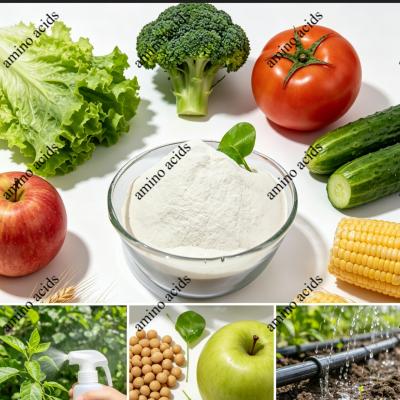 China 100% Water Soluble Amino Acid Powder 80% from Non-GMO Soybean Meal for Fertilizer Formulation for sale