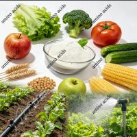 China 100% Water Soluble Amino Acid Powder 80% from Non-GMO Soybean Meal for Fertilizer Formulation for sale